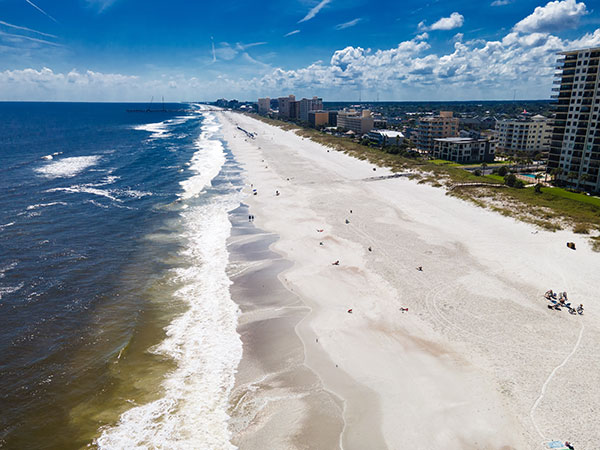 Beaches Area - Parker Alter Group | One Sotheby's International Realty